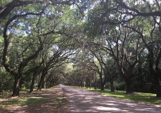 Top Things to Do During Spring in Atlanta, Georgia