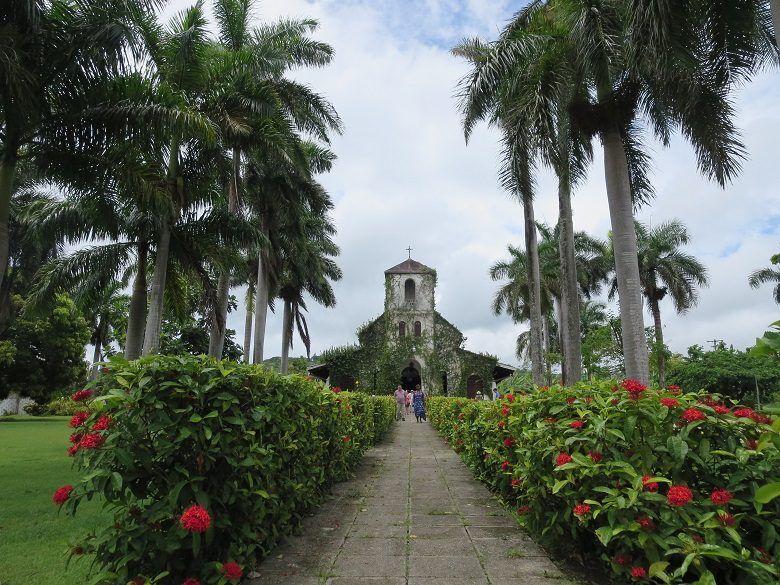 Jamaica Island Panorama & Reggae Hill Rum Tasting Review