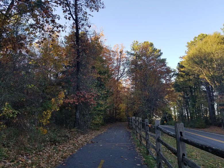 Hiking the Camp Brumby Loop Trail | Georgia Hikes