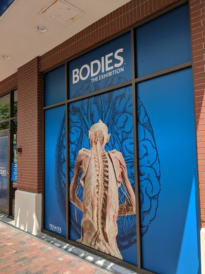 Inside BODIES The Exhibition at Atlantic Station | Paige Minds The Gap