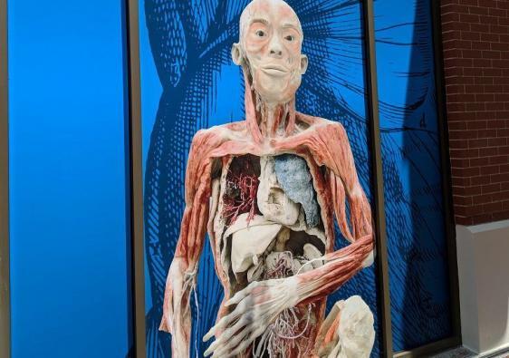 How To Spend a Day in Mainz, Germany