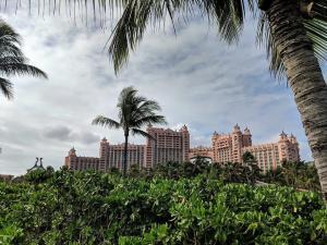 A Perfect Day at Atlantis Bahamas