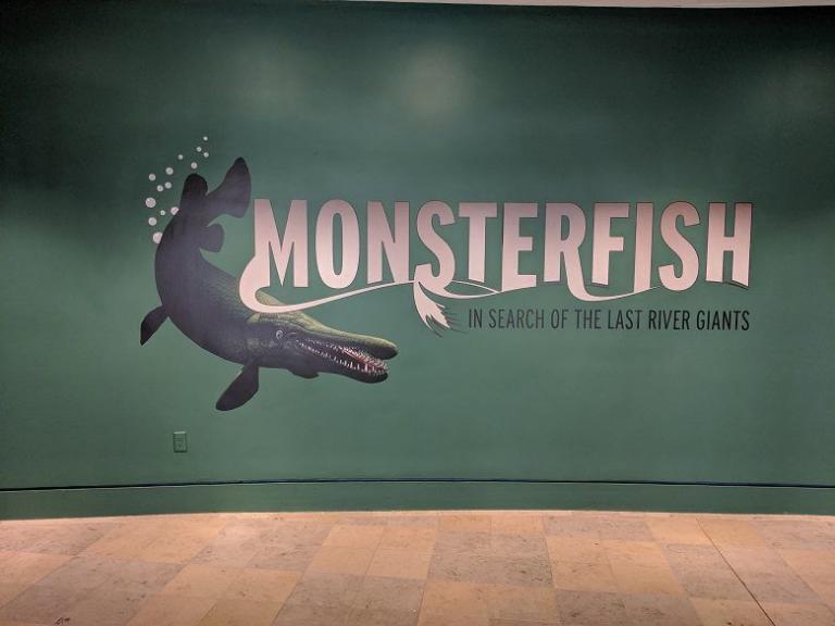 A Guide to Visiting Fernbank Museum in Atlanta | Paige Minds The Gap