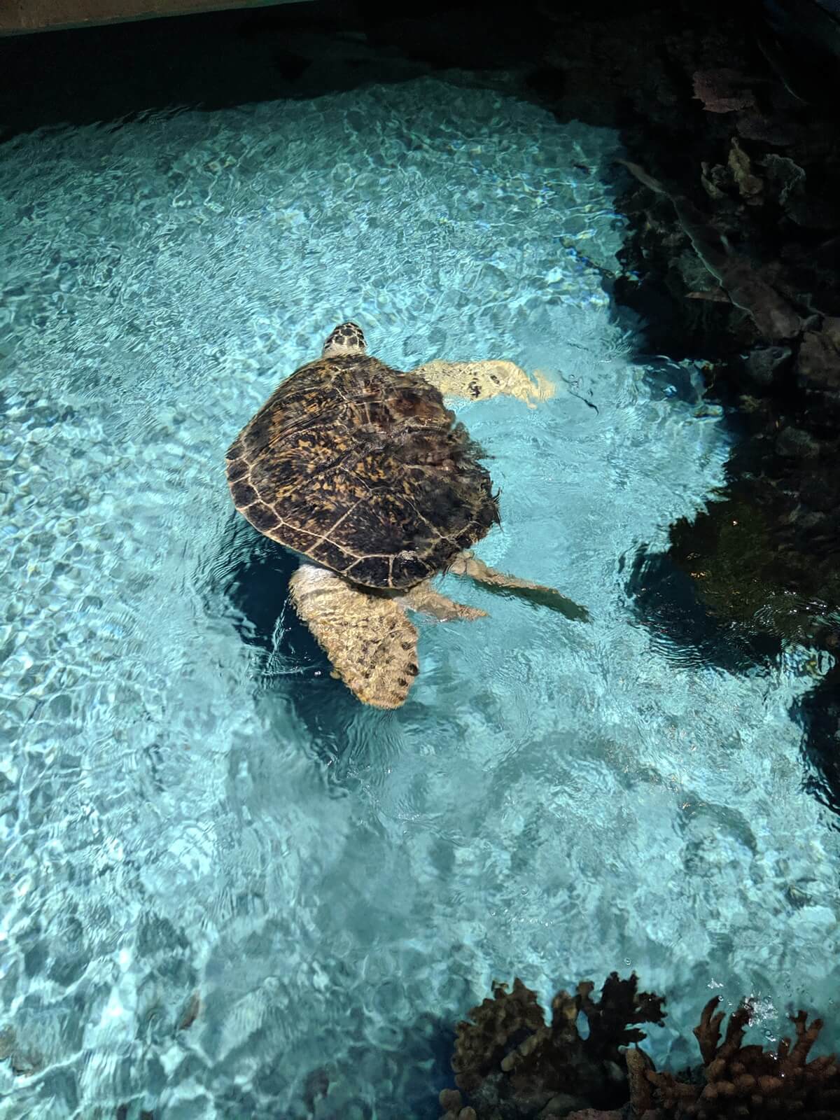 One Day in Baltimore, Maryland: Day Trip from Washington DC