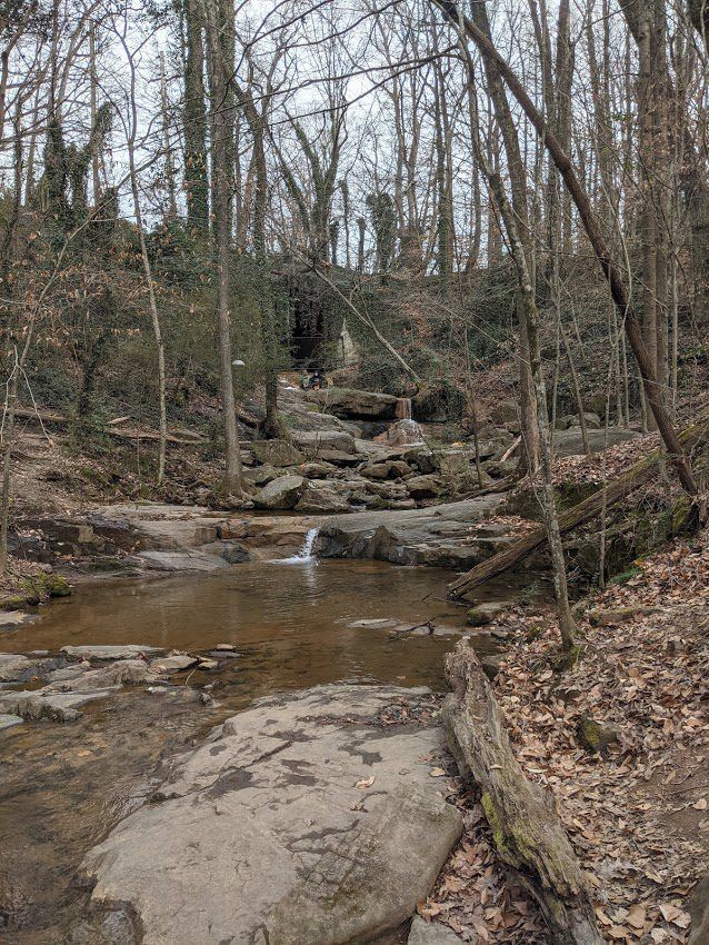 Hiking Cascade Springs Nature Preserve | Georgia Hikes