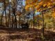 Tips for Visiting Red Top Mountain State Park | Paige Minds The Gap
