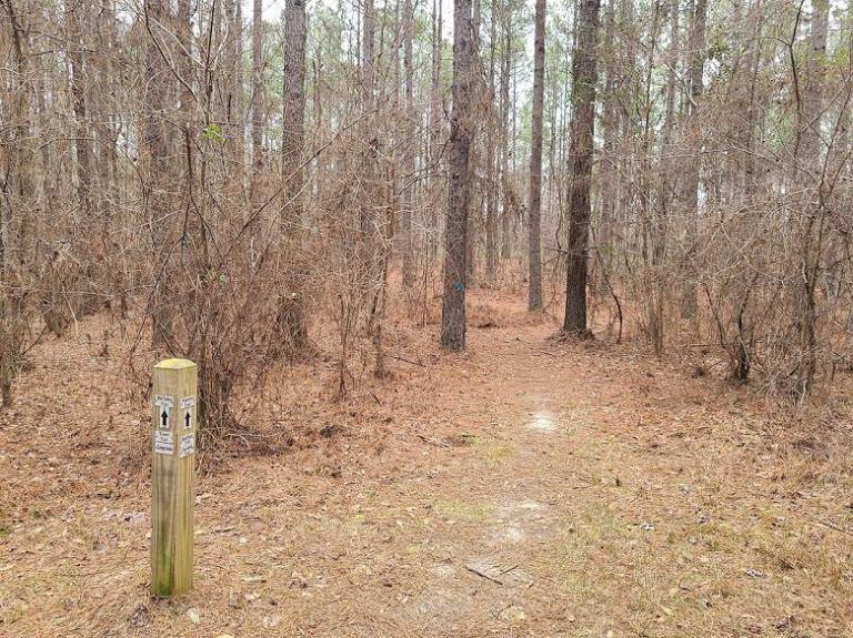 Hiking the Wild Turkey Trail | Georgia Hikes
