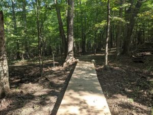 Hiking the Jones Valley Loop Trail | Alabama Hikes