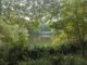 Hiking the Madison County Nature Trail on Green Mountain