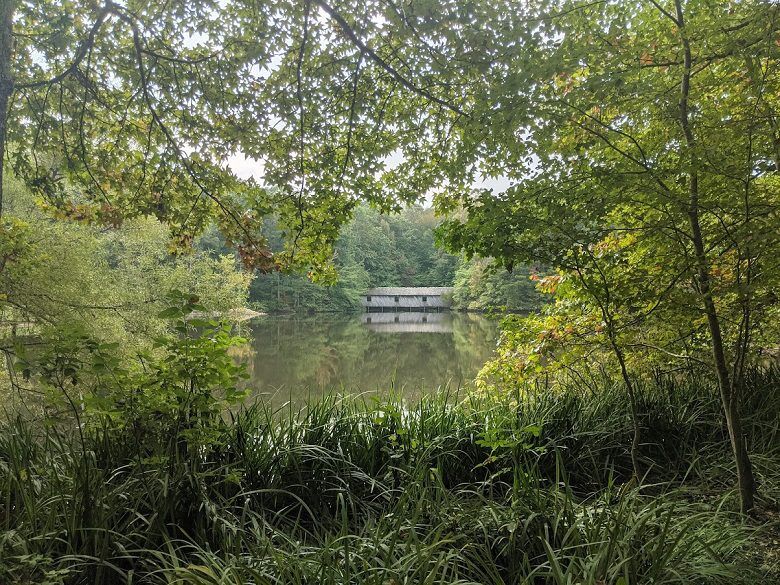Hiking the Madison County Nature Trail on Green Mountain