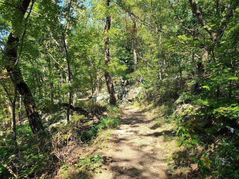 Stone Wall, Tower, & Overlook Trails at Fort Mountain State Park