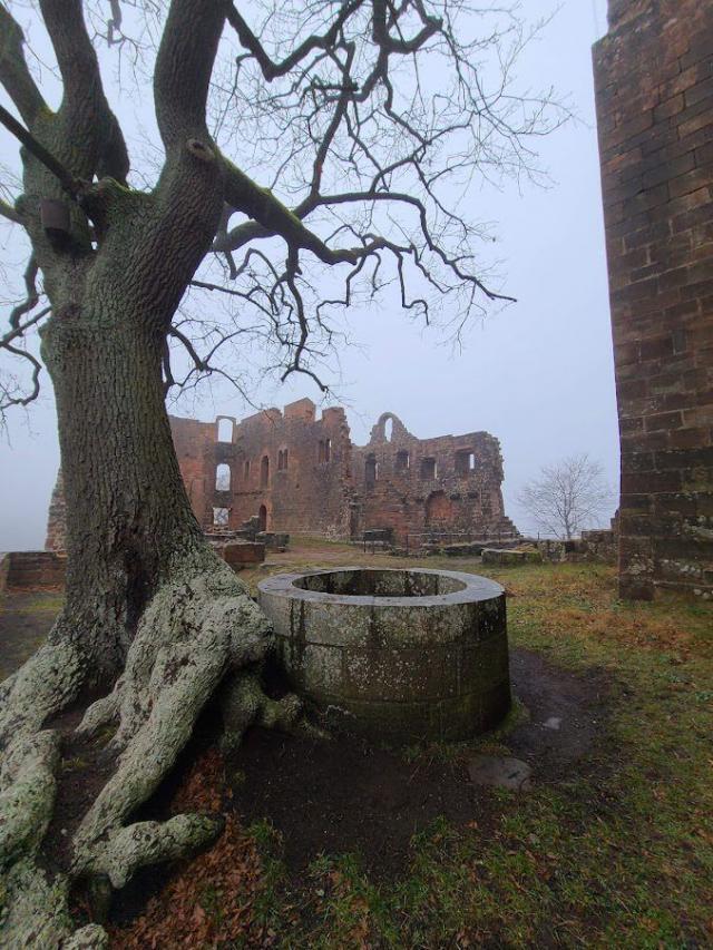 Top Tips For Visiting Hohenecken Castle in Kaiserslautern, Germany