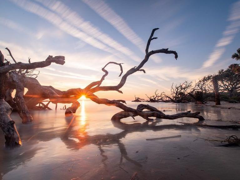 10 Incredible Spring Destinations in Georgia