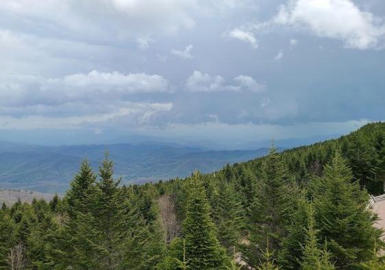 Hiking the Tray Mountain Summit Trail | Georgia Hikes