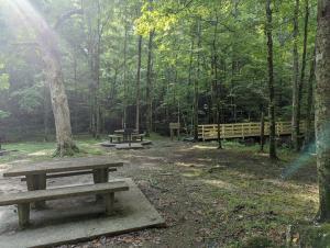 Tips for Visiting Montgomery Bell State Park