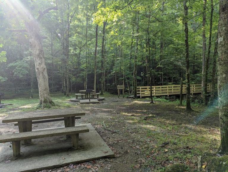 Tips for Visiting Montgomery Bell State Park