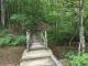 Tips for Visiting Montgomery Bell State Park
