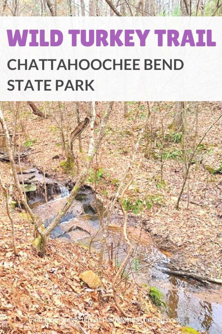 Hiking the Wild Turkey Trail | Georgia Hikes