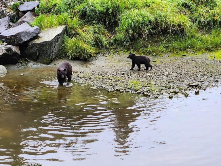 Things to Do in Ketchikan, Alaska: 1 Day Itinerary