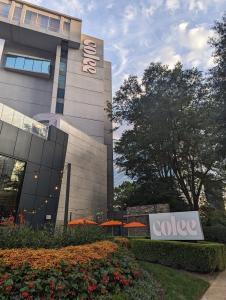 Hotel Colee Review: A Vibrant Buckhead Hotel