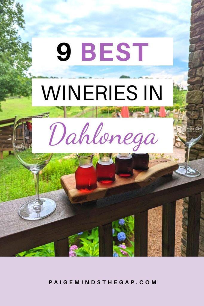 9 Best Wineries in Dahlonega, Georgia