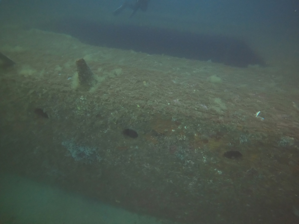 13 Scuba Diving Sites near Gulf Shores and Orange Beach, AL